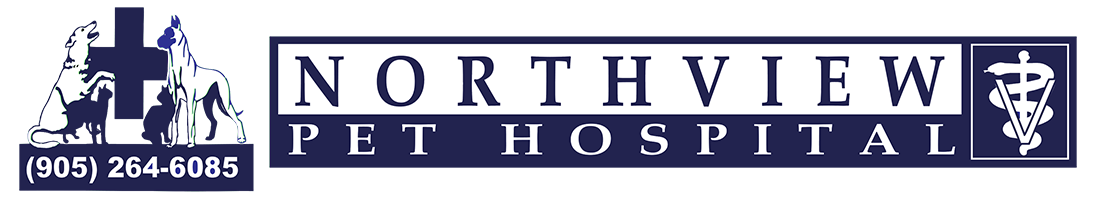 Emergencies - Woodbridge, Ontario - Northview Pet Hospital